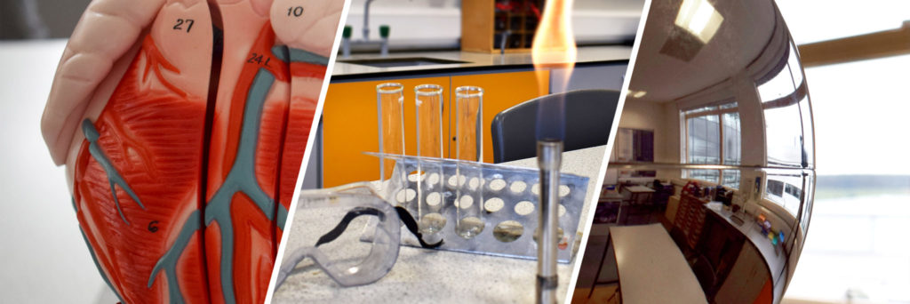 Science – Cults Academy